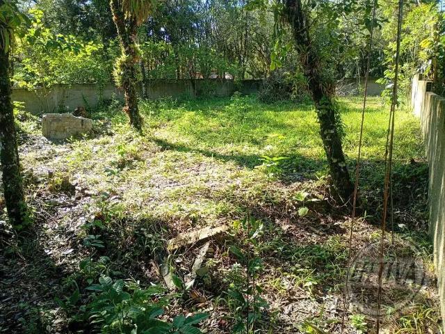 Terreno / Lote para Venda em Pontal do Paraná/PR Ilha do Mel