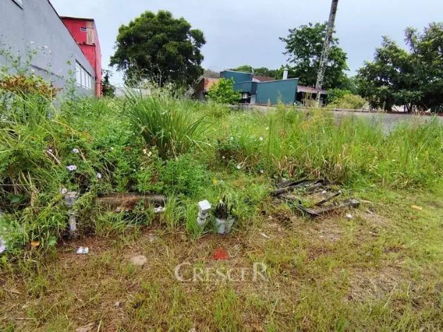 Terreno / Lote para Venda em Pontal do Paraná/PR Ipanema