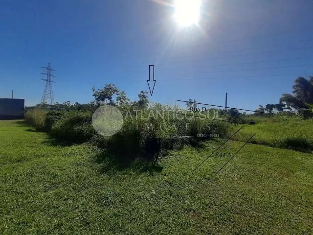 Terreno / Lote para Venda em Pontal do Paraná/PR Jardim Jacarandá