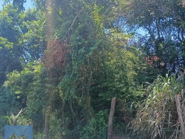Terreno / Lote para Venda em Pontal do Paraná/PR Jardim Jacarandá