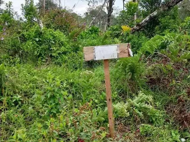 Terreno / Lote para Venda em Pontal do Paraná/PR Olho D’ Água