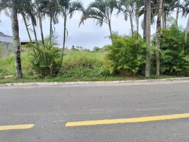 Terreno / Lote para Venda em Pontal do Paraná/PR Shangri lá