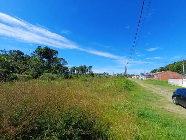 Terreno / Lote para Venda em Pontal do Paraná/PR Shangri lá