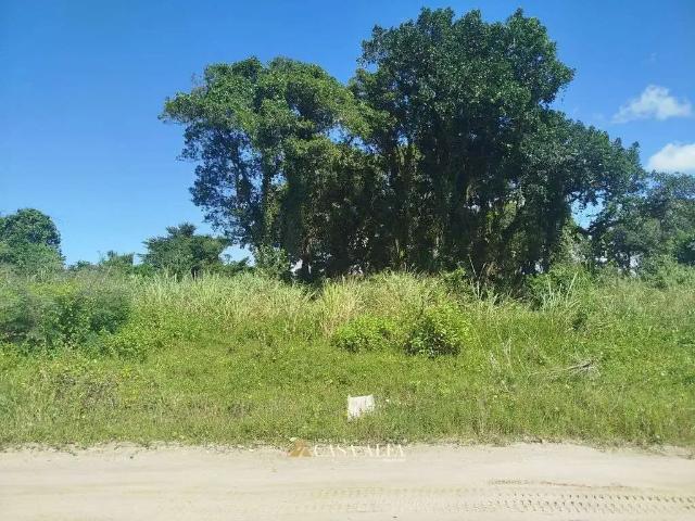 Terreno / Lote para Venda em Pontal do Paraná/PR Shangri lá