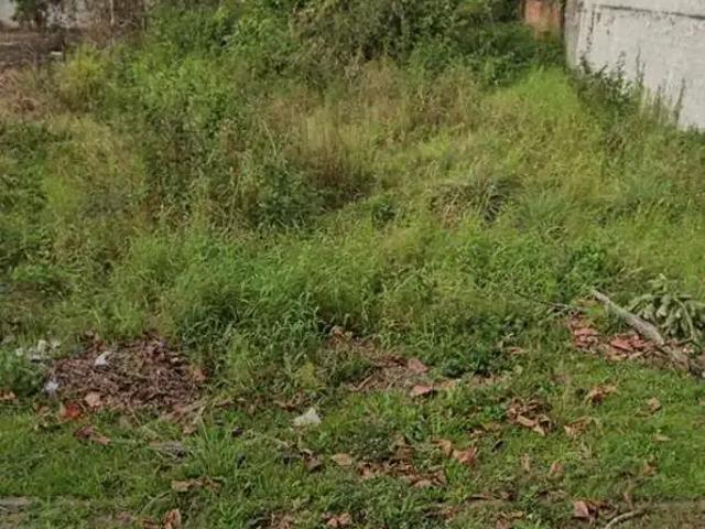 Terreno / Lote para Venda em Pontal do Paraná/PR Shangri lá