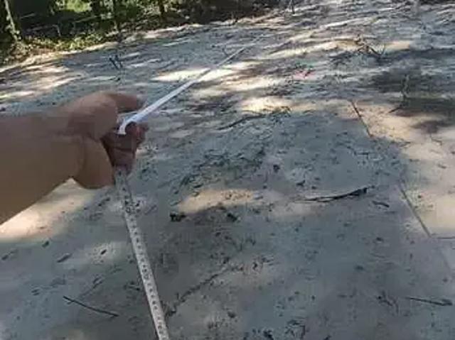 Terreno / Lote para Venda em Pontal do Paraná/PR Shangri lá