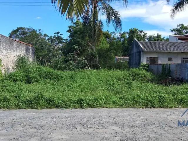 Terreno / Lote para Venda em Pontal do Paraná/PR Pontal do Sul