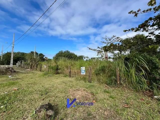 Terreno / Lote para Venda em Pontal do Paraná/PR Pontal do Sul