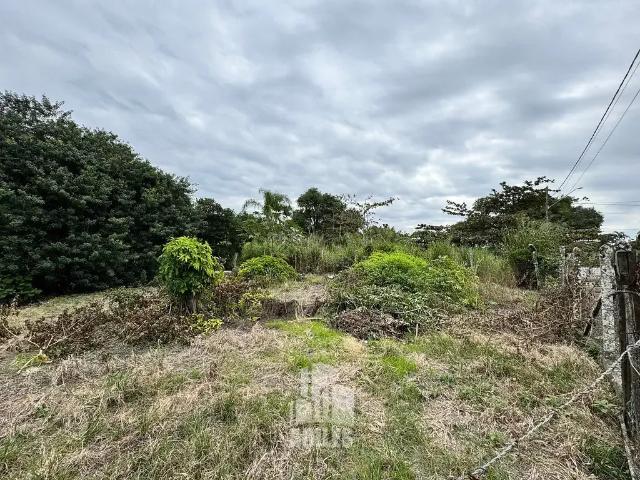 Terreno / Lote para Venda em Pontal do Paraná/PR Pontal do Sul