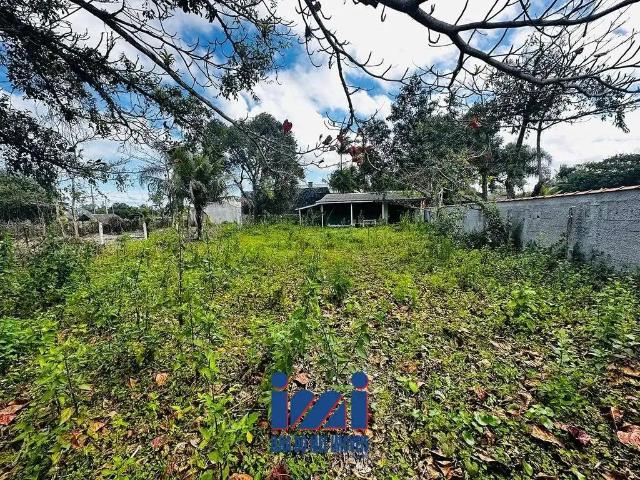 Terreno / Lote para Venda em Pontal do Paraná/PR Pontal do Sul
