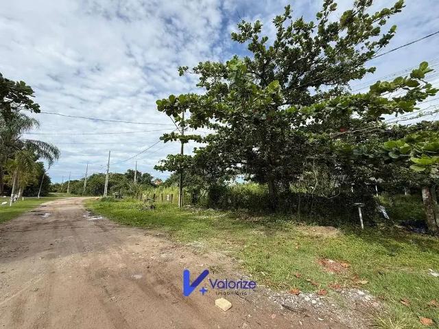 Terreno / Lote para Venda em Pontal do Paraná/PR Pontal do Sul
