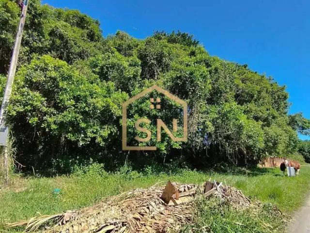 Terreno / Lote para Venda em Pontal do Paraná/PR Pontal do Sul