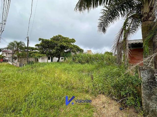 Terreno / Lote para Venda em Pontal do Paraná/PR Pontal do Sul