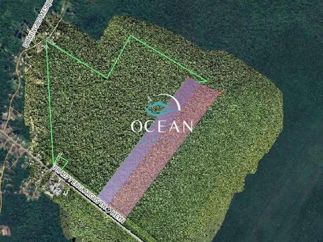 Terreno / Lote para Venda em Pontal do Paraná/PR Praia de Leste