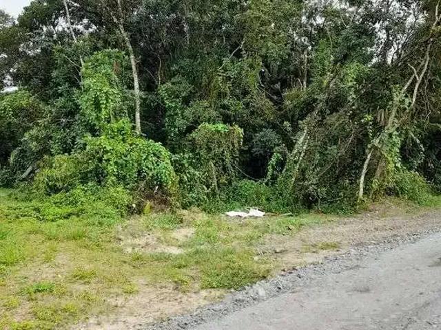 Terreno / Lote para Venda em Pontal do Paraná/PR Praia de Leste