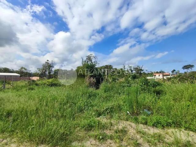 Terreno / Lote para Venda em Pontal do Paraná/PR Praia de Leste