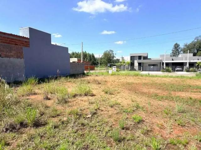 Terreno / Lote para Venda em Portão/RS Vila Rica