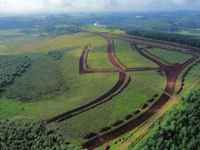 Terreno / Lote para Venda em Portão/RS Centro