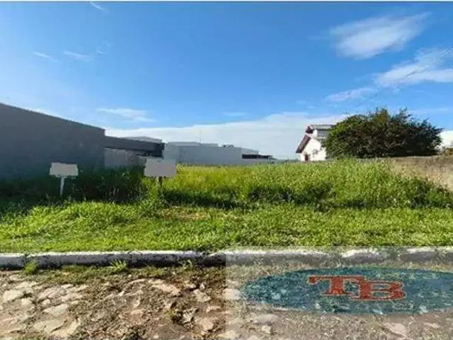 Terreno / Lote para Venda em Portão/RS Centro