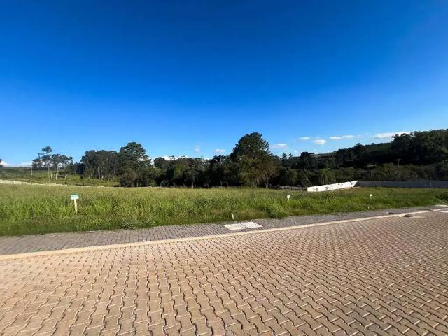 Terreno / Lote para Venda em Portão/RS Centro
