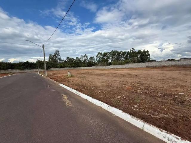 Terreno / Lote para Venda em Portão/RS Centro