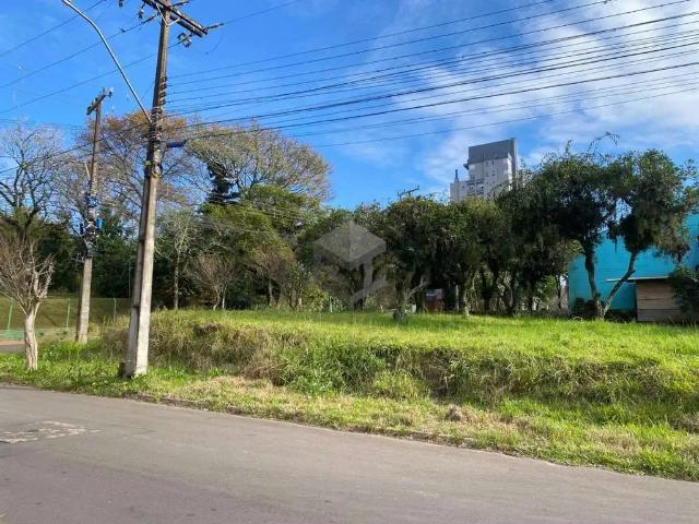 Terreno / Lote para Venda em Portão/RS Centro