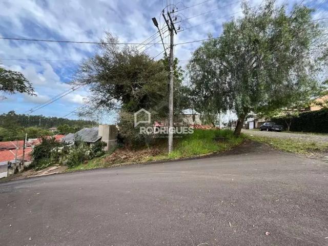 Terreno / Lote para Venda em Portão/RS Centro