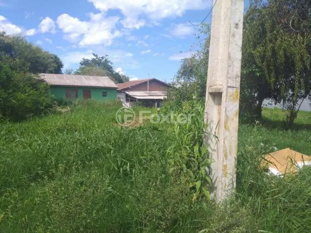 Terreno / Lote para Venda em Portão/RS Estação Portão