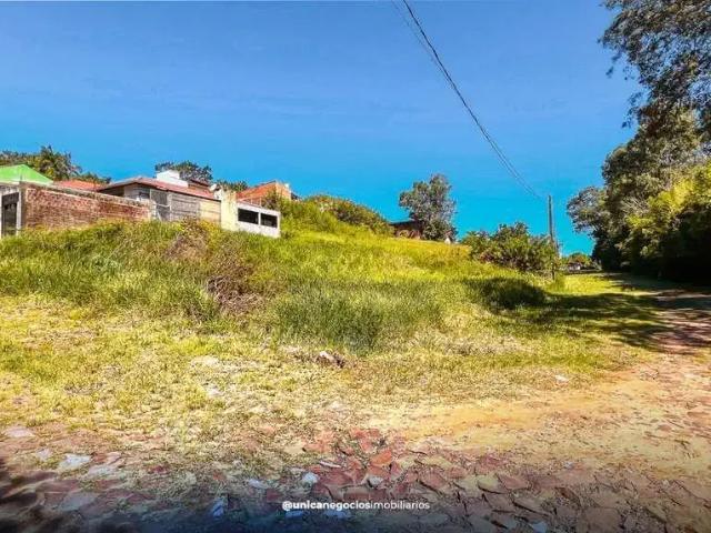 Terreno / Lote para Venda em Portão/RS Ouro Verde