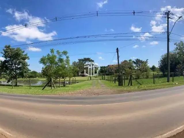 Terreno / Lote para Venda em Portão/RS Portão Velho