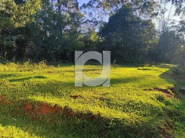 Terreno / Lote para Venda em Portão/RS Rincão do Cascalho