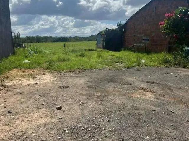 Terreno / Lote para Venda em Portão/RS São Jorge
