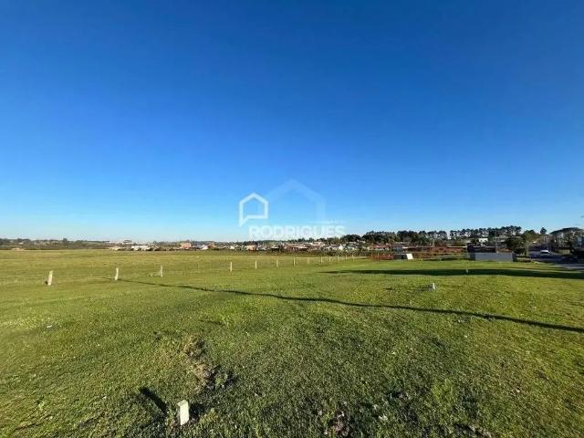 Terreno / Lote para Venda em Portão/RS São Jorge