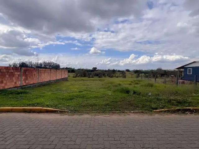 Terreno / Lote para Venda em Portão/RS São Jorge