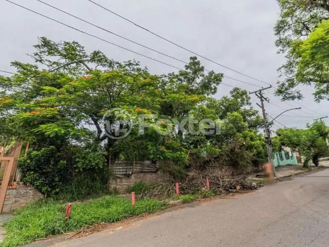 Terreno / Lote para Venda em Porto Alegre/RS Teresópolis