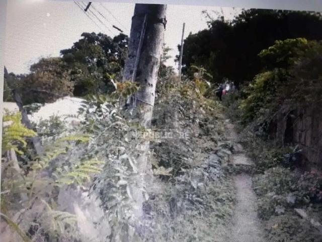 Terreno / Lote para Venda em Porto Alegre/RS Teresópolis