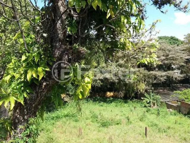 Terreno / Lote para Venda em Porto Alegre/RS Teresópolis