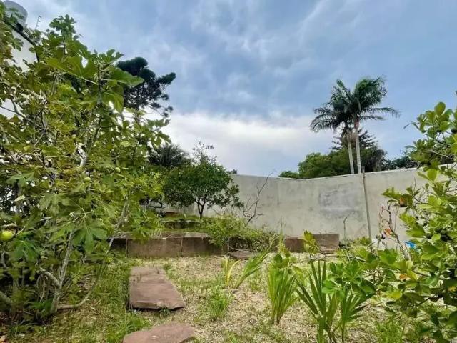 Terreno / Lote para Venda em Porto Alegre/RS Três Figueiras 2 Quartos