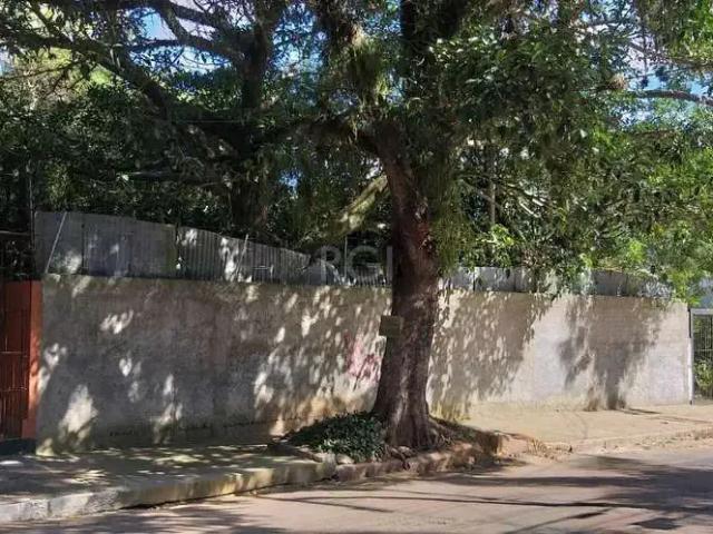 Terreno / Lote para Venda em Porto Alegre/RS Tristeza