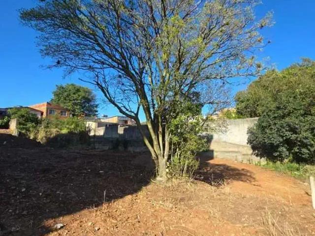 Terreno / Lote para Venda em Porto Alegre/RS Tristeza