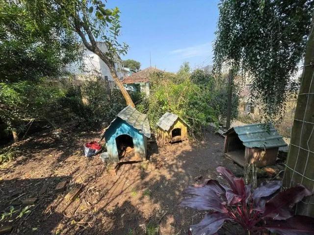 Terreno / Lote para Venda em Porto Alegre/RS Tristeza