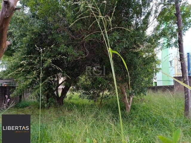 Terreno / Lote para Venda em Porto Alegre/RS Tristeza