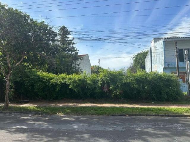Terreno / Lote para Venda em Porto Alegre/RS Tristeza