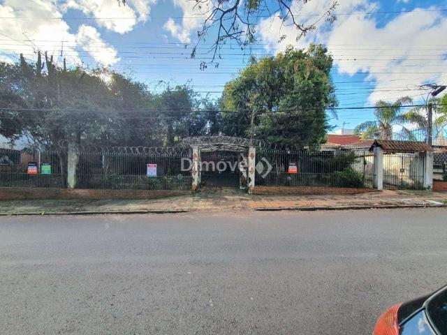 Terreno / Lote para Venda em Porto Alegre/RS Tristeza