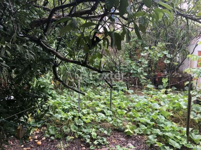 Terreno / Lote para Venda em Porto Alegre/RS Tristeza