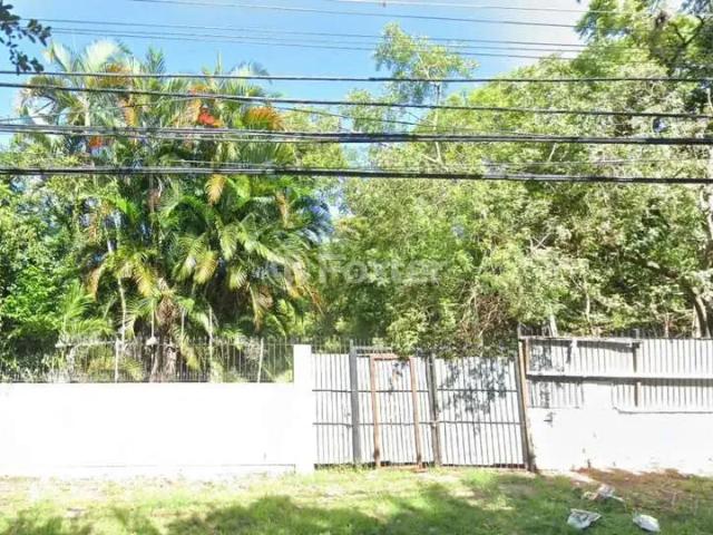 Terreno / Lote para Venda em Porto Alegre/RS Tristeza