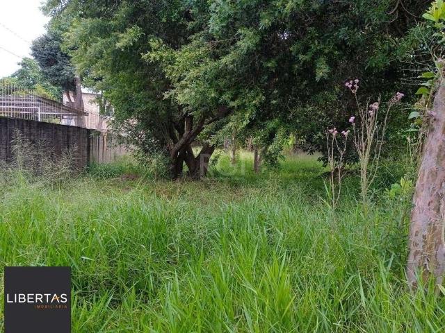 Terreno / Lote para Venda em Porto Alegre/RS Tristeza
