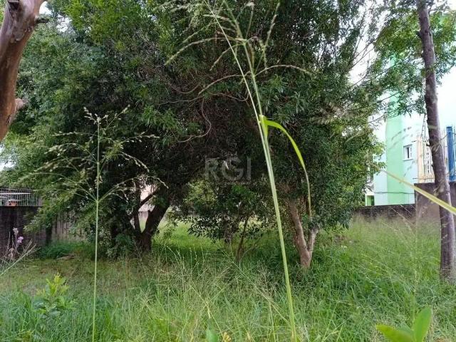 Terreno / Lote para Venda em Porto Alegre/RS Tristeza