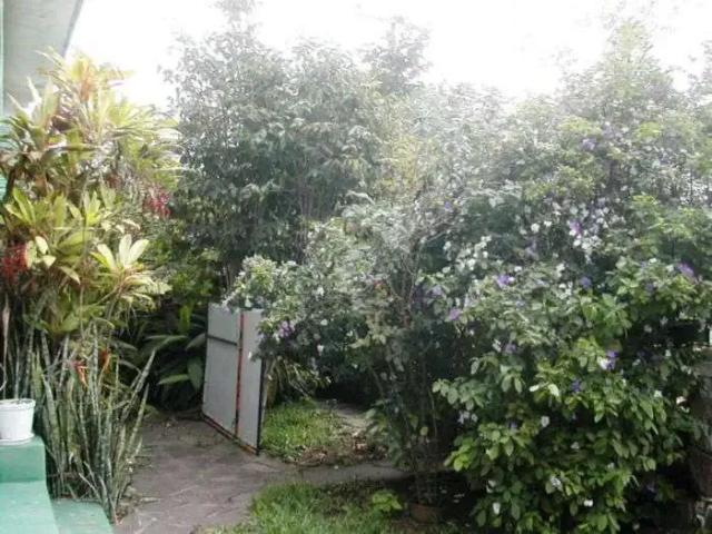 Terreno / Lote para Venda em Porto Alegre/RS Tristeza 1 Quartos