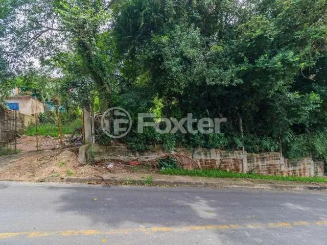 Terreno / Lote para Venda em Porto Alegre/RS Tristeza